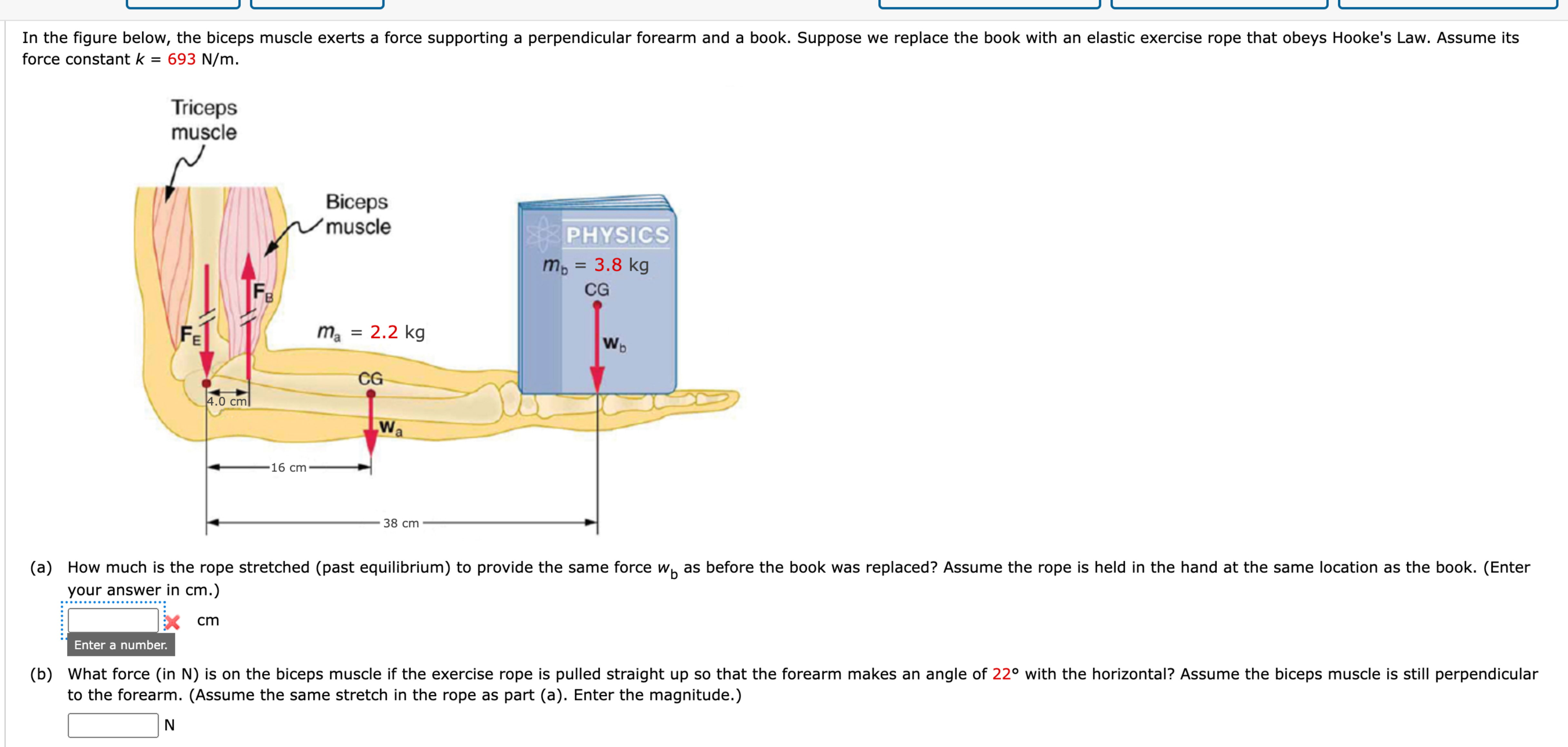 Solved In the figure below, the biceps muscle exerts a force | Chegg.com