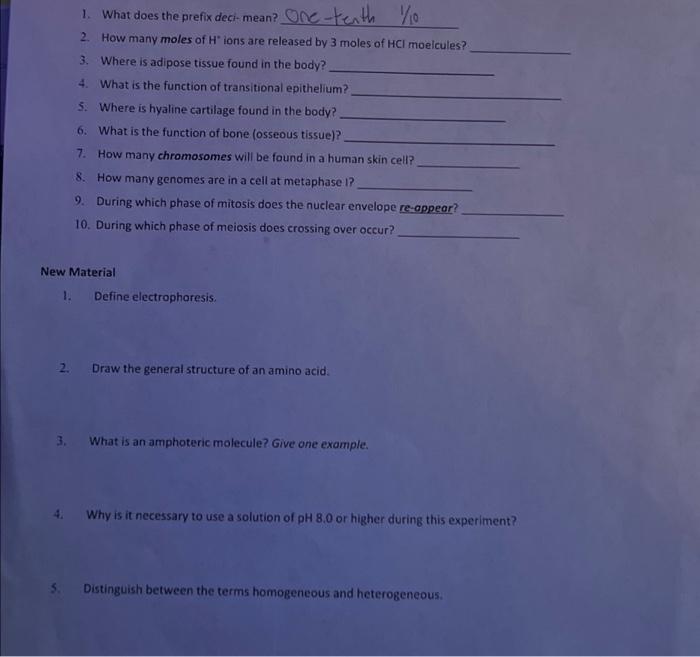 Solved New Material 2. 3. 1. What does the prefix deci- | Chegg.com