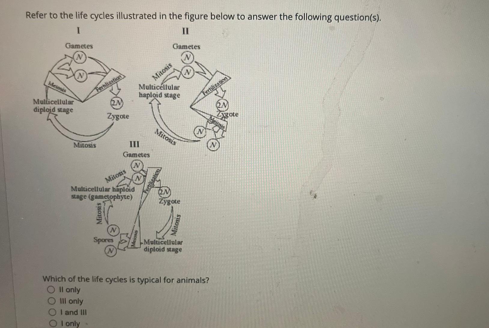 Solved Refer to the life cycles illustrated in the figure | Chegg.com