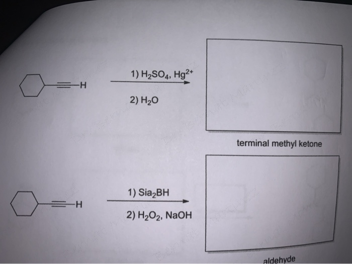Solved 1) H2SO4, Hg2+ H 2) H20 terminal methyl ketone 1) Sia | Chegg.com