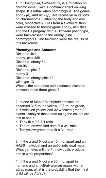 Solved 1. In Drosophila, Dichaete (D) is a mutation on | Chegg.com
