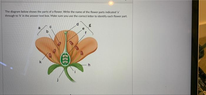 Solved The diagram below shows the parts of a flower. Write | Chegg.com