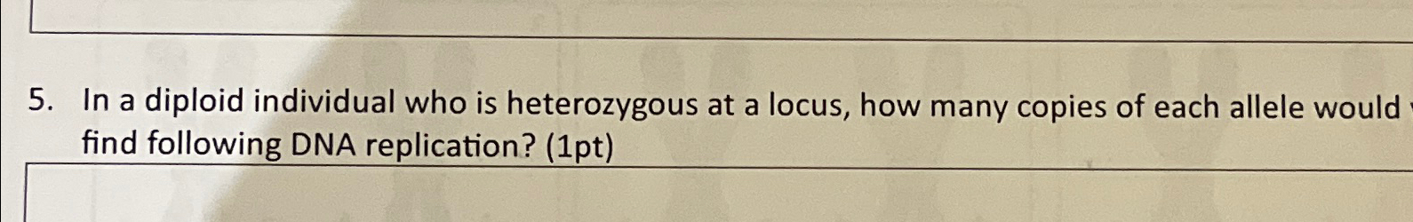 Solved In a diploid individual who is heterozygous at a | Chegg.com