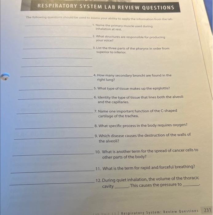 Solved RESPIRATORY SYSTEM LAB REVIEW QUESTIONS The following | Chegg.com