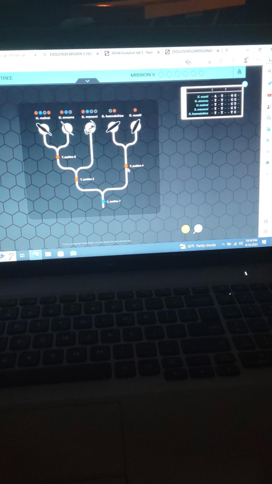 Solved I need help with Mission 5 Hosting blood flukes for | Chegg.com