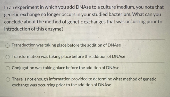 Solved In an experiment in which you add DNAse to a culture | Chegg.com