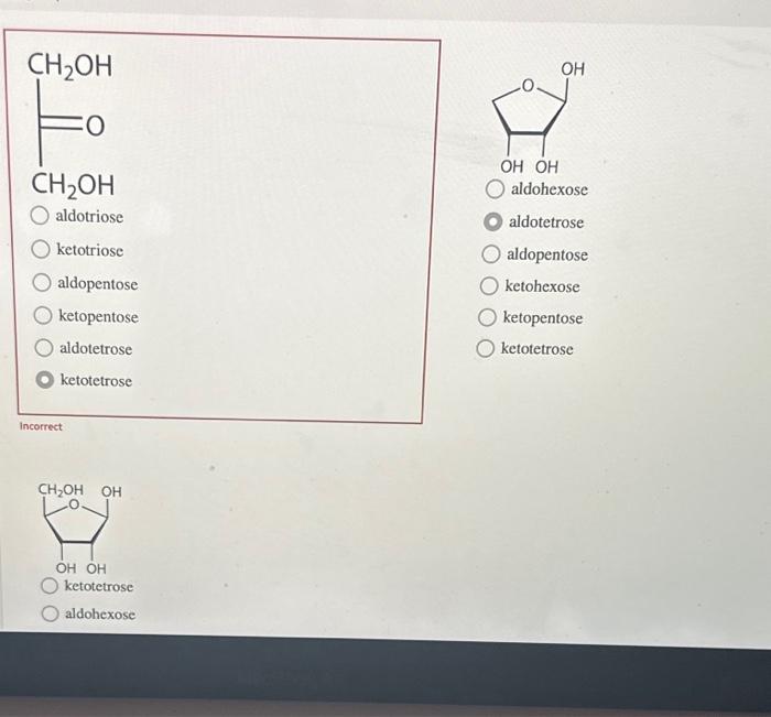Solved aldohexose | Chegg.com