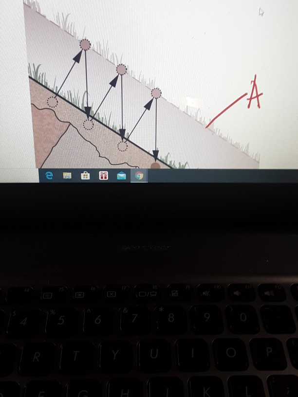 Solved The diagram shows creep movement. Label A and B | Chegg.com
