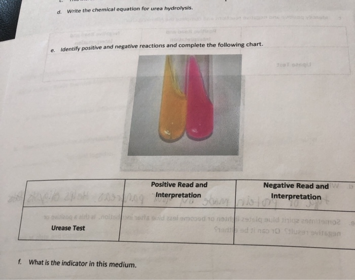 Solved d. Write the chemical equation for urea hydrolysis. e | Chegg.com