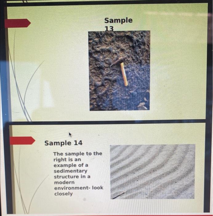 Solved Using the sedimentary structures provided in the lab, | Chegg.com