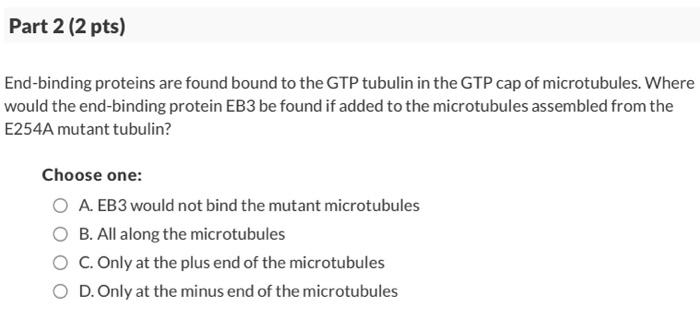 Solved Recombinant tubulin can be synthesized and purified. | Chegg.com