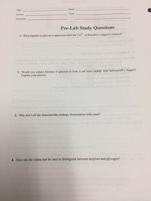 Solved Name Date Team Section Instructor Pre-Lab Study | Chegg.com Solved Name Date Team Section Instructor Pre-Lab Study | Chegg.com