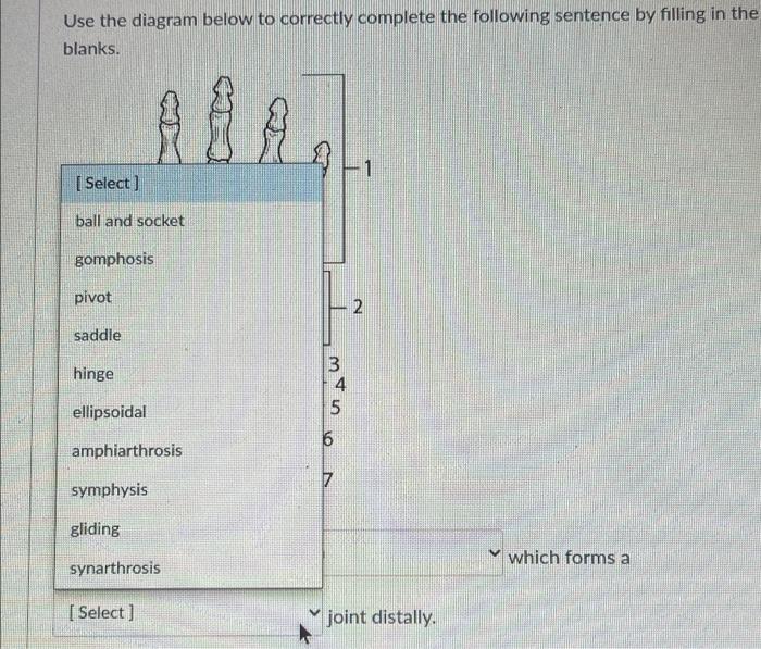 Solved Use the diagram below to correctly complete the | Chegg.com