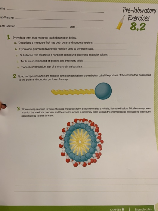 Solved ame ab Partner Pre-laboratory Exercises 8.2 Lab | Chegg.com