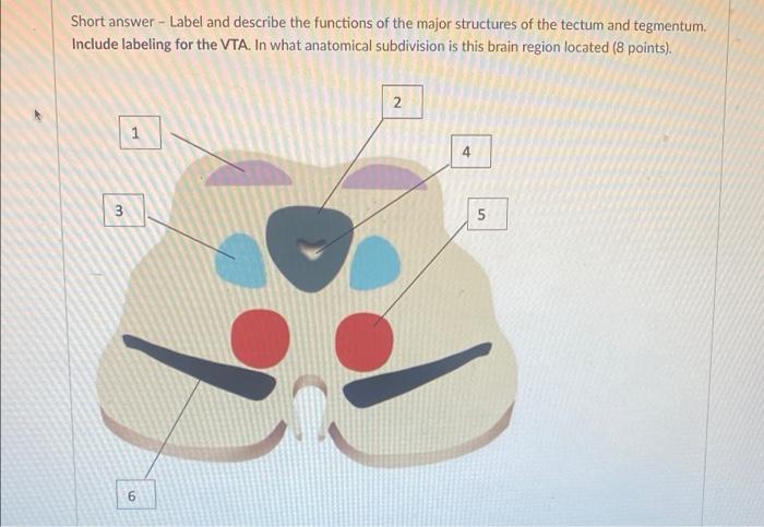 Solved Short answer - Label and describe the functions of | Chegg.com