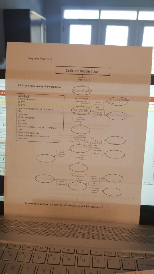 Solved Chapter 9 Worksheet Cellular Respiration begins with | Chegg.com