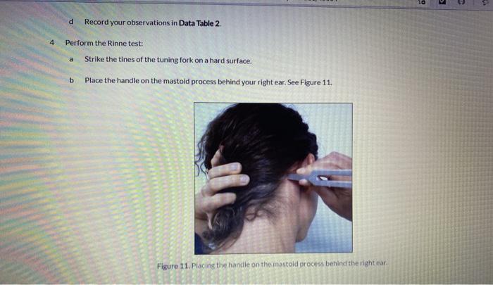Solved Data Table 2: Hearing Tests Test Observations Weber | Chegg.com