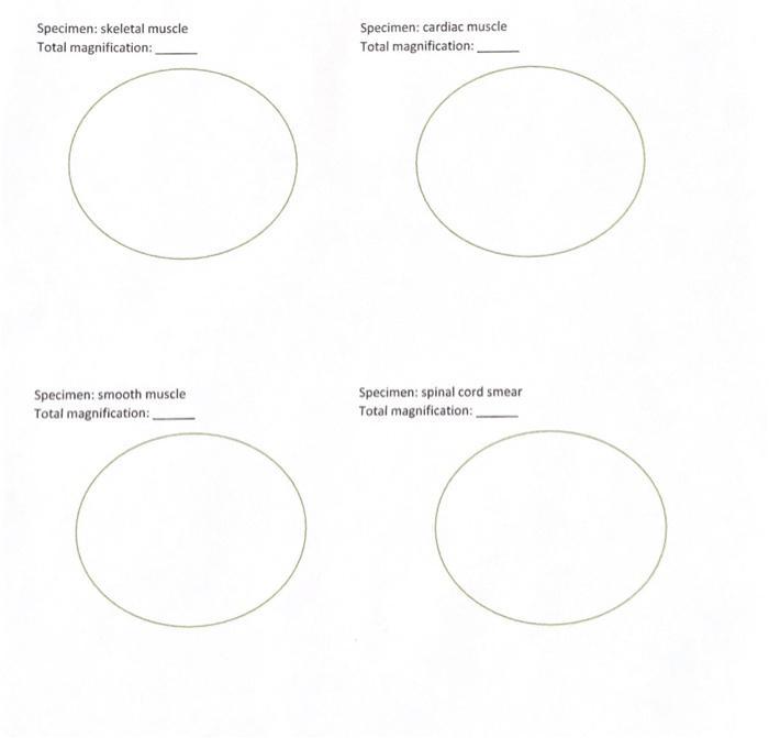 Drawing/Coloring with labels on the checklist and | Chegg.com