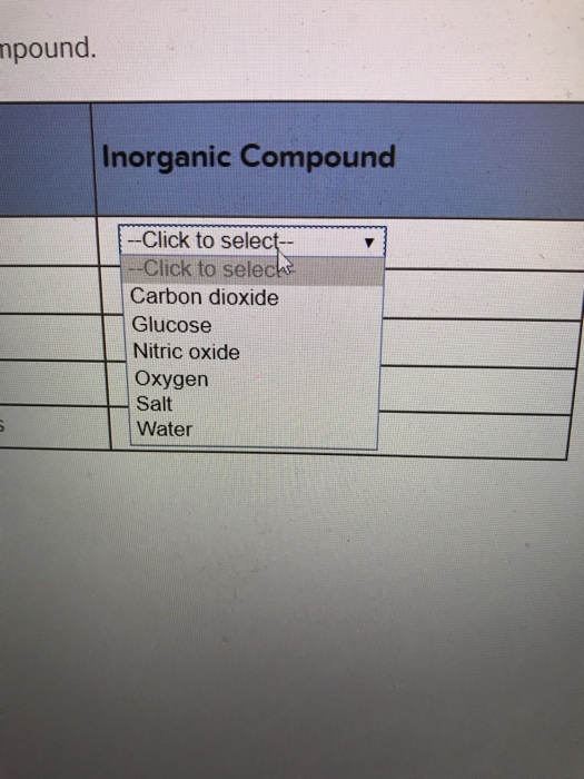 Solved Match each description or function with the correct | Chegg.com
