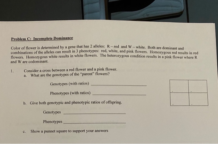 Solved Problem C: Incomplete Dominance Color of flower is | Chegg.com