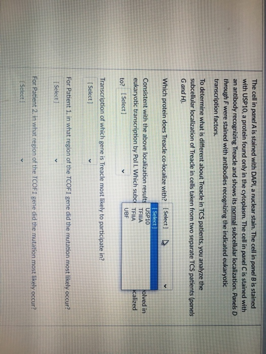 Solved Treacher Collins-Franceschetti syndrome (TCS) is a | Chegg.com