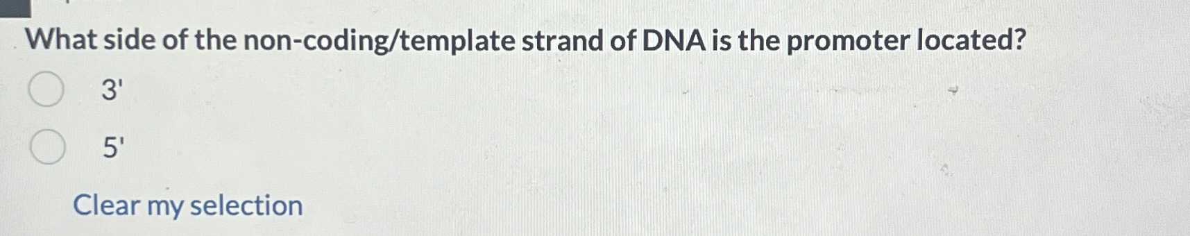 Solved What side of the non-coding/template strand of DNA is | Chegg.com
