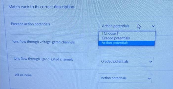 Solved Match each to its correct description. Precede action | Chegg.com