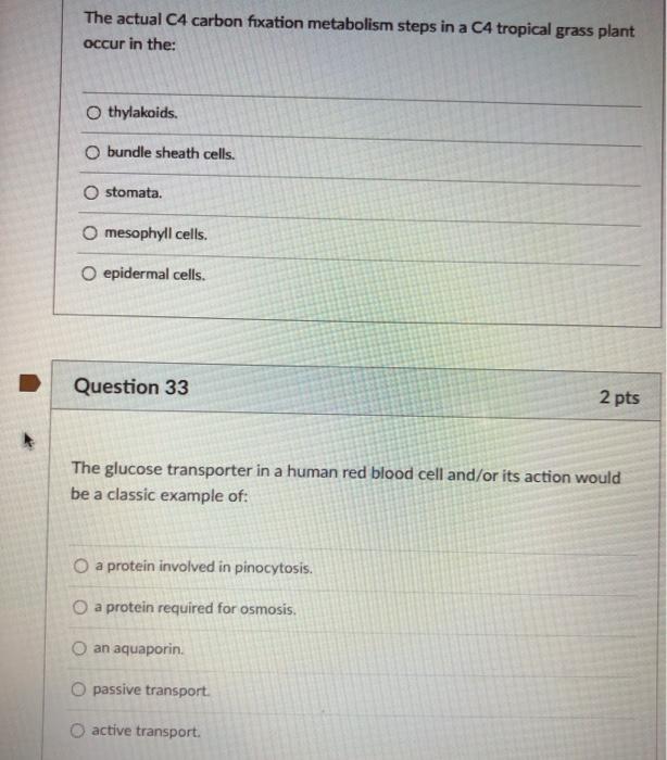 Solved The actual C4 carbon fixation metabolism steps in a | Chegg.com