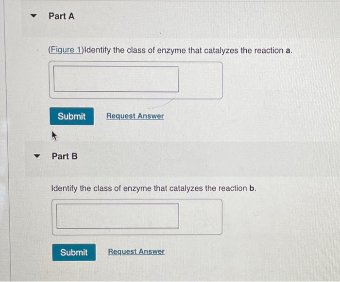 Solved Part A (Figure 1)Identify the class of enzyme that | Chegg.com