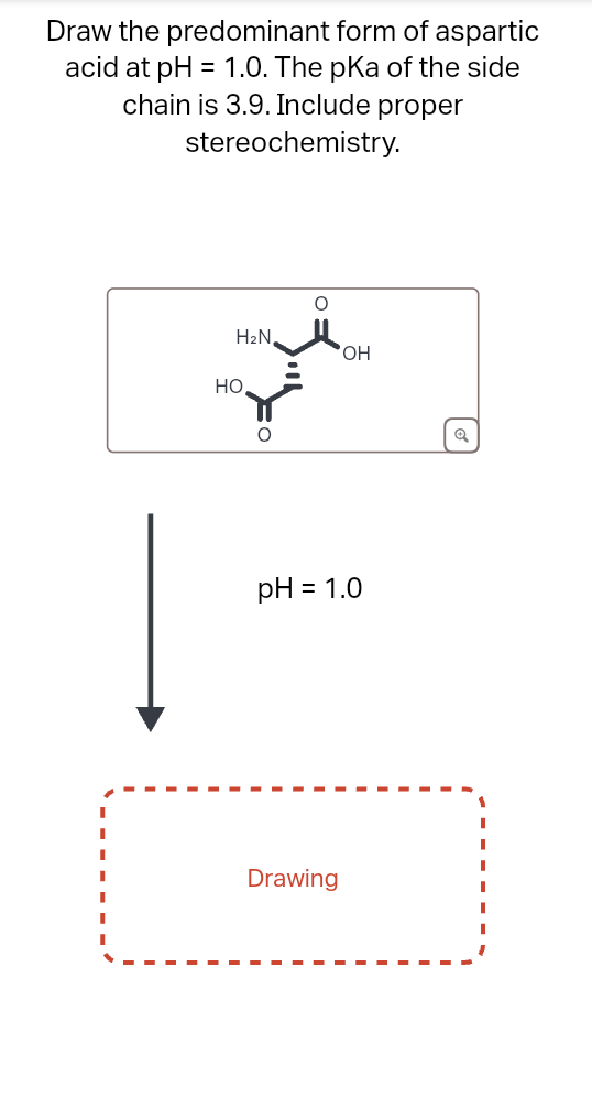 Solved Draw the predominant form of ﻿asparticacid at pH=1.0. | Chegg.com