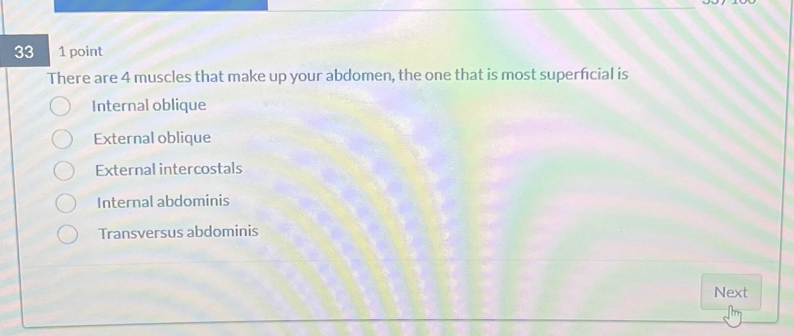 Solved 331 ﻿pointThere are 4 ﻿muscles that make up your | Chegg.com