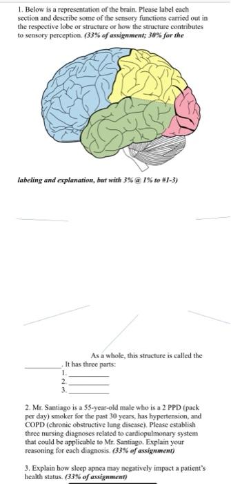 Solved 1. Below is a representation of the brain. Please | Chegg.com