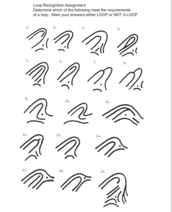 Solved Loop Recognition Assignment Determine which of the | Chegg.com