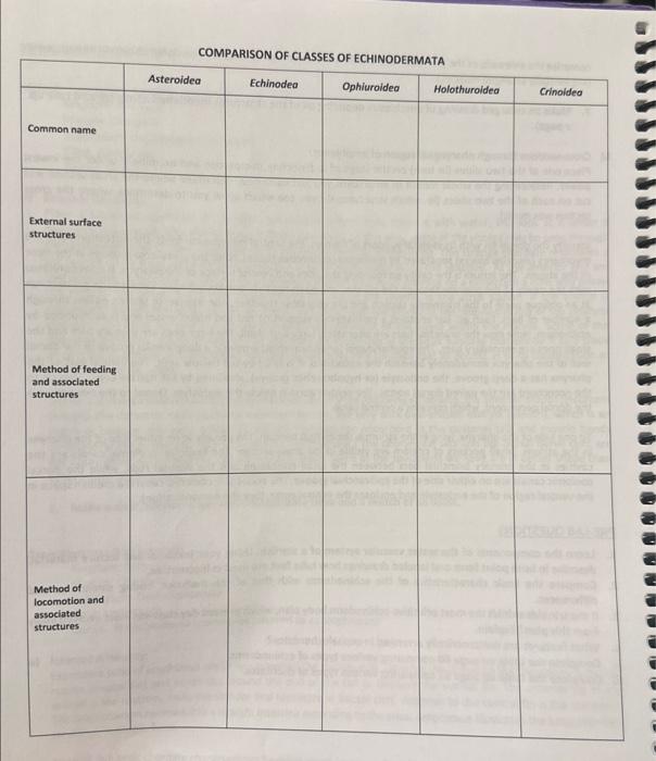 Solved COMPARISON OF CLASSES OF ECHINODERMATA | Chegg.com