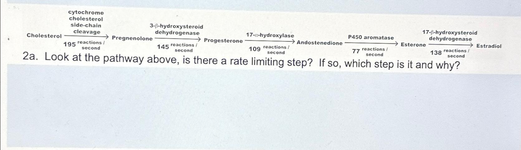 Solved 2a. ﻿Look at the pathway above, is there a rate | Chegg.com