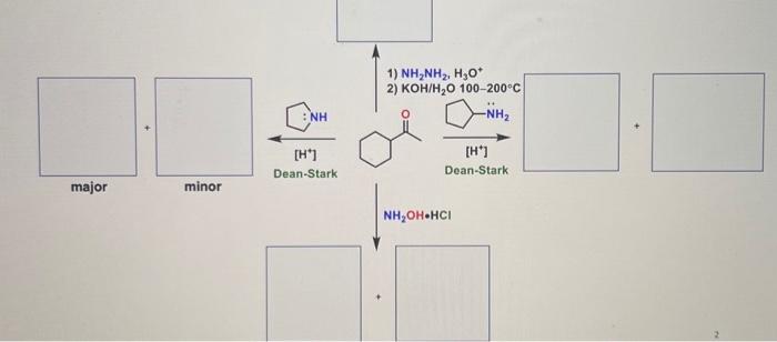 Solved [H+] NH2NH2,H3O+major minor 1) NH2NH2,H3O+ 2) | Chegg.com