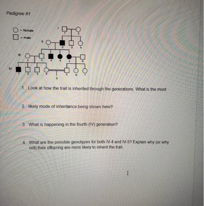 Solved Pedigree \#1 1. Look at how the trait is inherited | Chegg.com