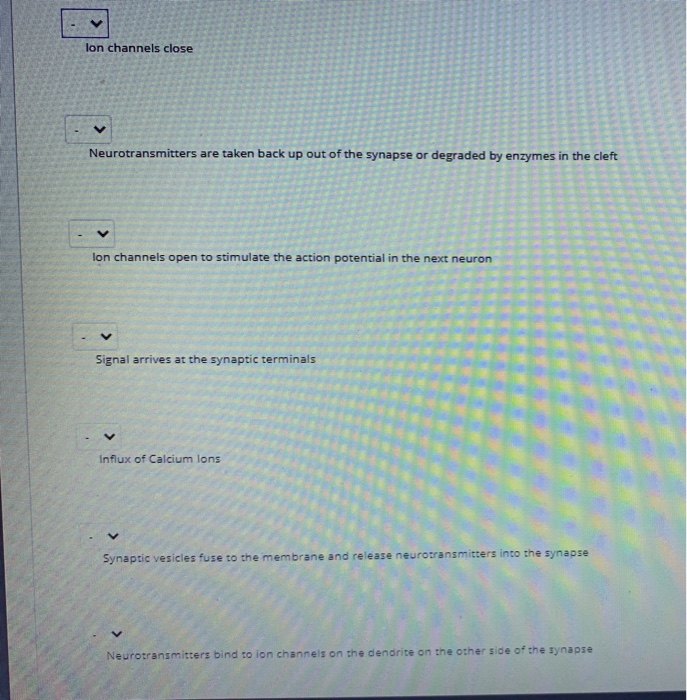 Solved lon channels close Neurotransmitters are taken back | Chegg.com