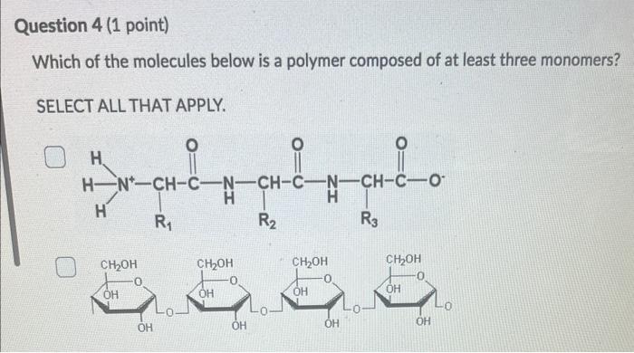 Solved Which of the molecules below is a polymer composed of | Chegg.com