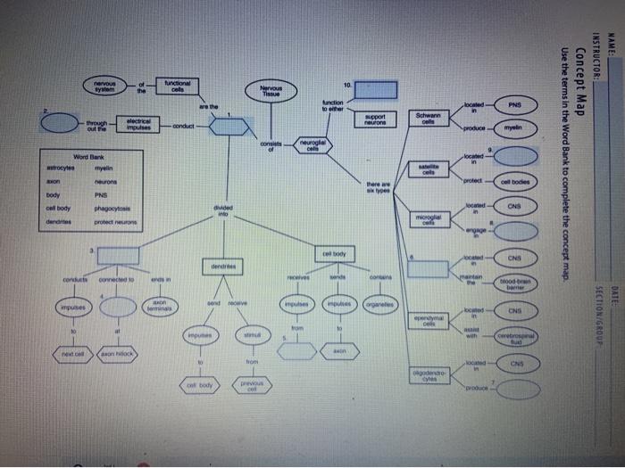 Solved NAME: DATE: INSTRUCTOR: SECTION/GROUP Concept Map Use | Chegg.com