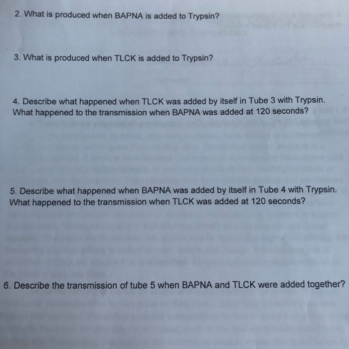 Solved 2. What is produced when BAPNA is added to Trypsin? | Chegg.com