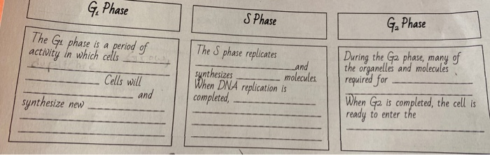 Solved formieren G. Phase S Phase G. Phase The Sphase | Chegg.com