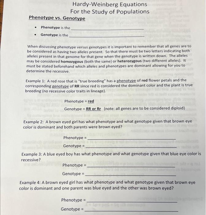 Solved Hardy-Weinberg Equations For the Study of Populations | Chegg.com