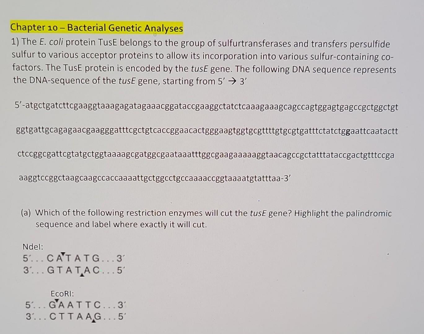 Solved Chapter 10 - Bacterial Genetic Analyses 1) The E. | Chegg.com