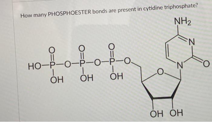 Solved How many PHOSPHOESTER bonds are present in cytidine | Chegg.com