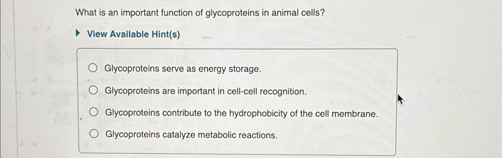 Solved What Is An Important Function Of Glycoproteins In