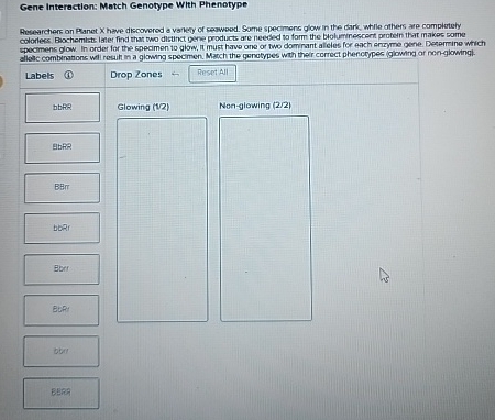 Solved Gene Interaction: Match Genotype With | Chegg.com