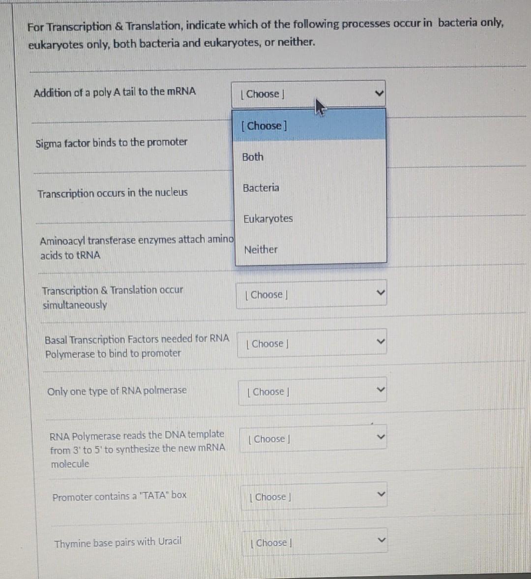 Solved For Transcription & Translation, indicate which of | Chegg.com