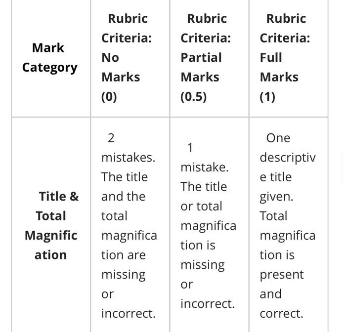 Solved The following drawing was created after observing the | Chegg.com