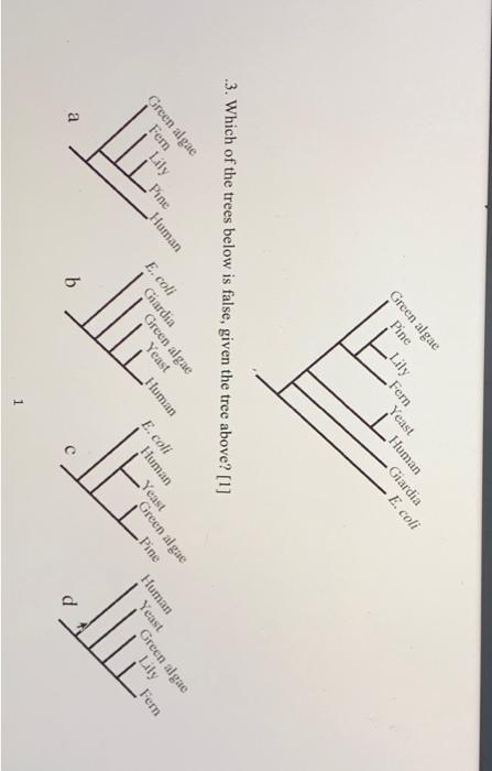 Solved just want to make sure if the answer is D. If not why | Chegg.com